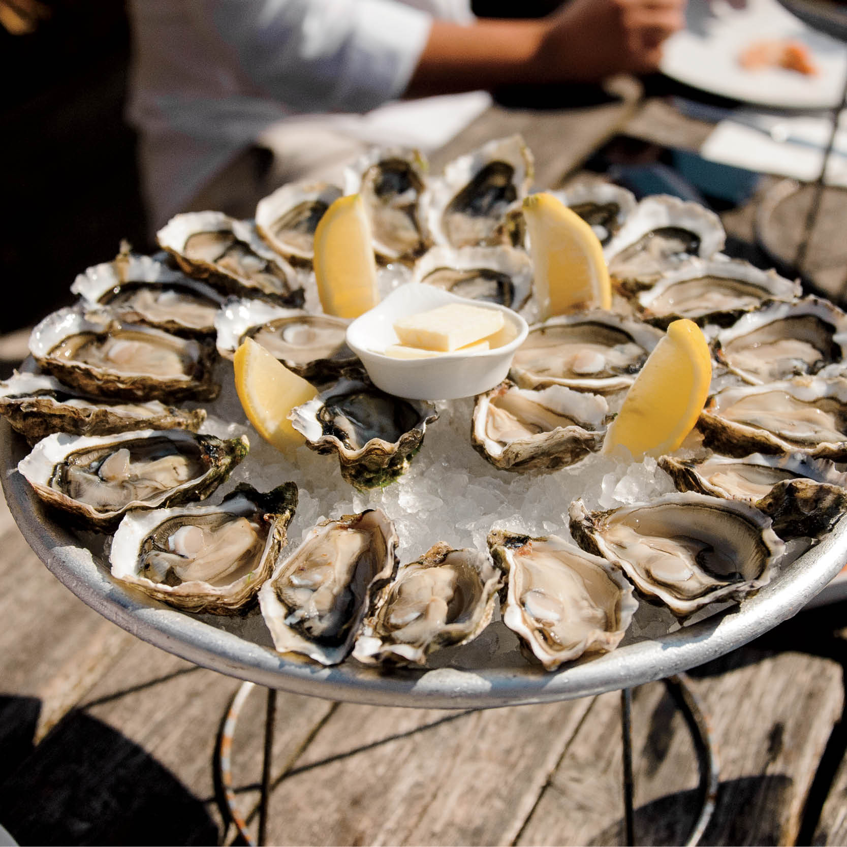 Dive into Quality: The Story Behind Portico Oysters | Sysco Foodie